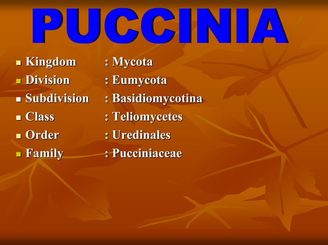 Different stages in the life cycle of Puccinia | PPTX | Gardening ...