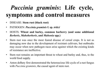 Puccinia-graminis ak.pdf