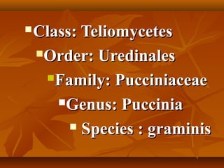 Puccinia fungus | PPT