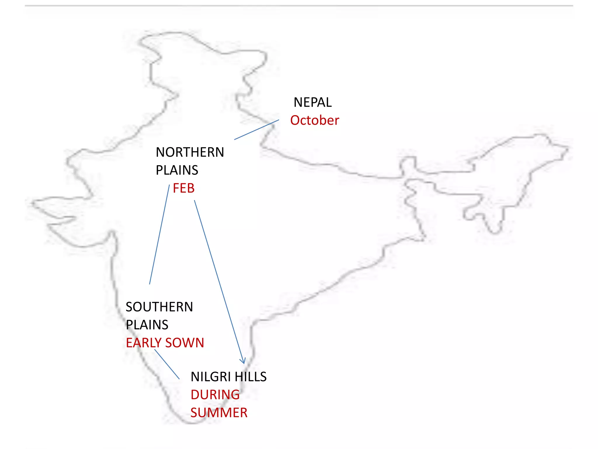 Puccinia pathway | PPTX