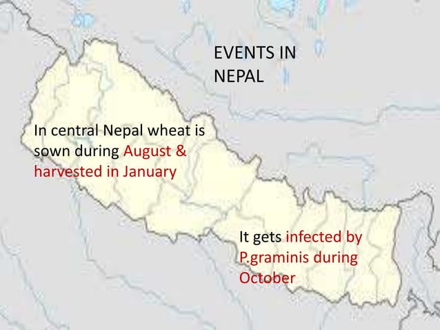 Puccinia pathway | PPTX