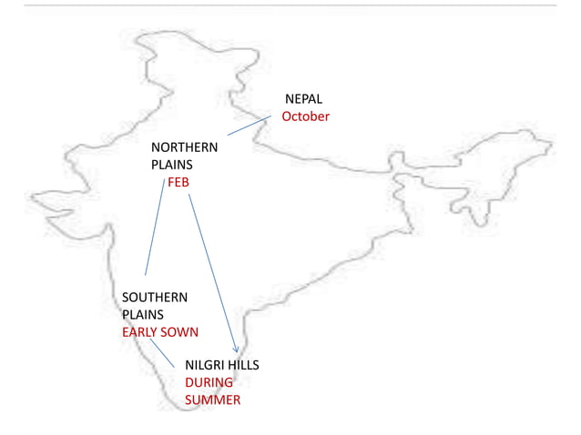 Puccinia pathway | PPTX