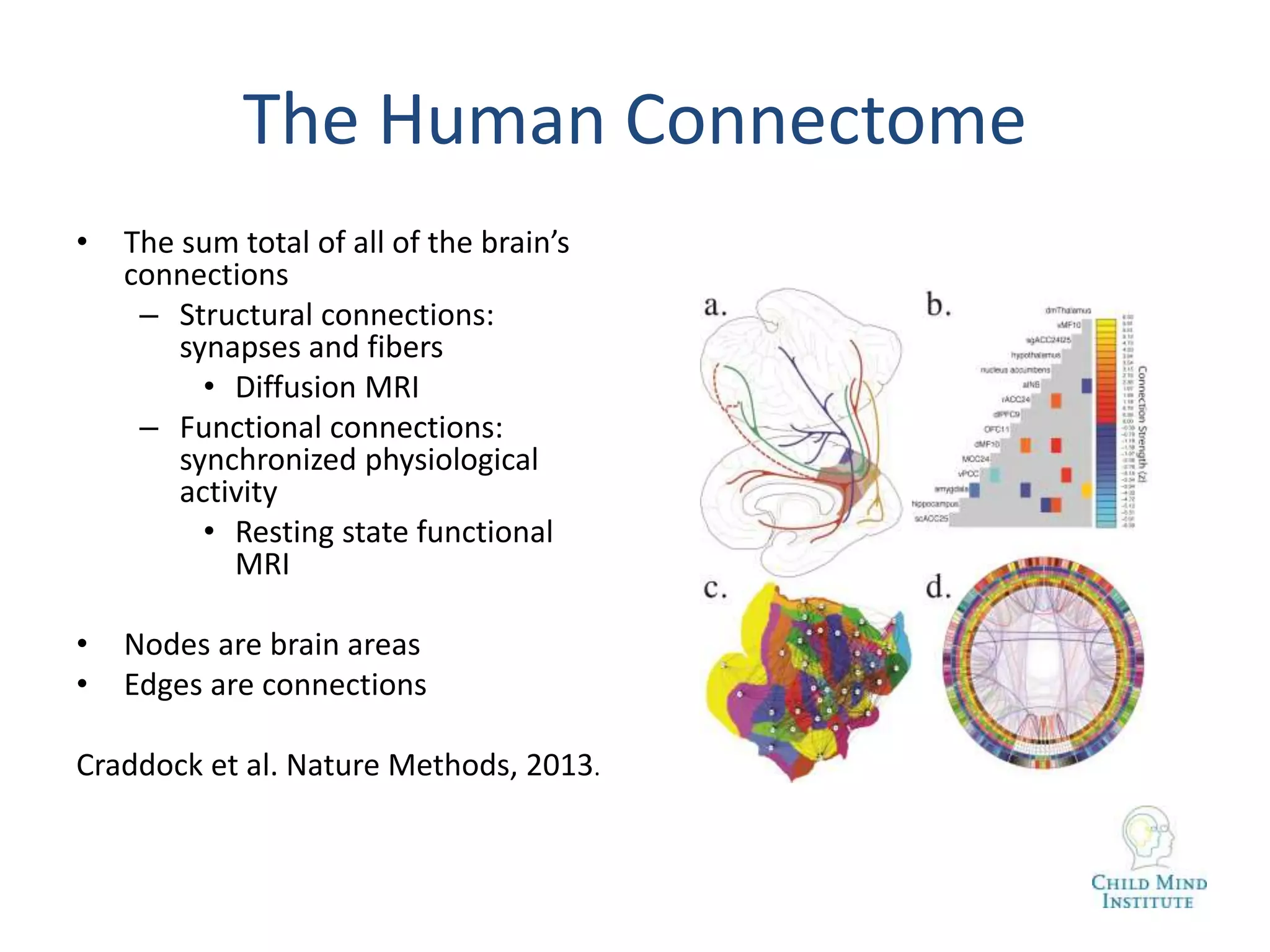Computational approaches for mapping the human connectome | PPTX ...