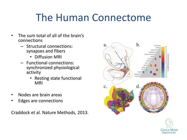 Computational Approaches For Mapping The Human Connectome Ppt