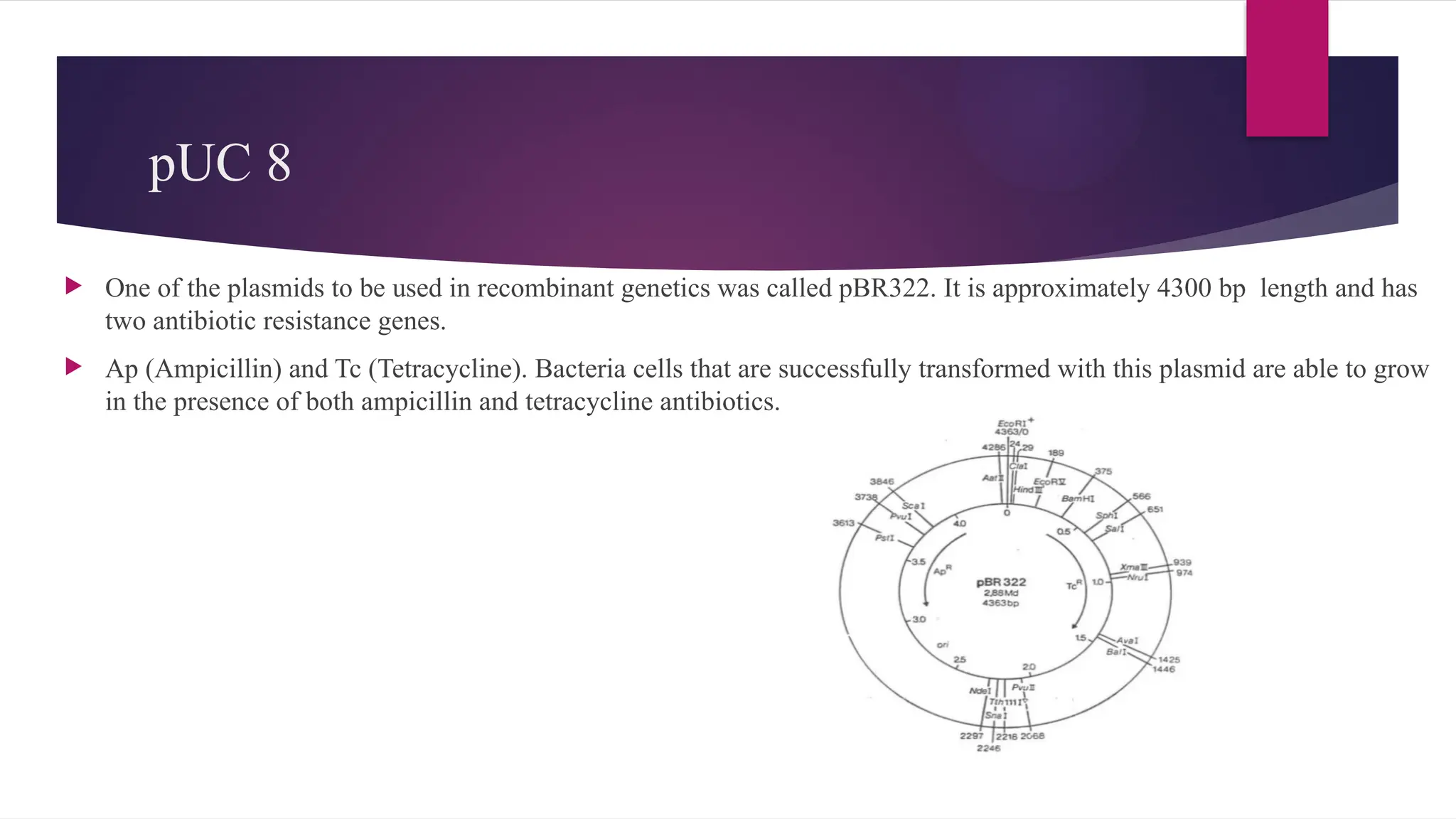 pUC Vectors - pUC 8,18,19 Microbial biotechnology | PPTX