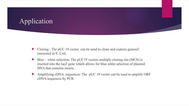 pUC Vectors - pUC 8,18,19 Microbial biotechnology | PPTX | Biological ...