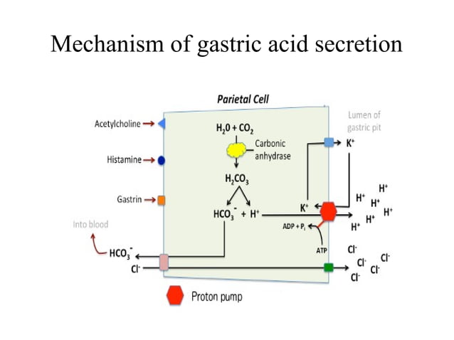PUD-1.pptx peptide ulcer disease for exam | PPT
