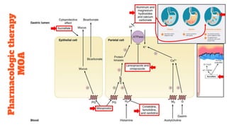 Pharmacology of anti ulcer drugs | PPTX