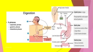 Approach to diagnosis and treatment PUD.pptx