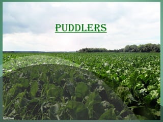 Puddlers | PPT