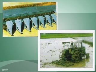 Puddlers | PPT