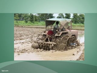 Puddlers | PPT