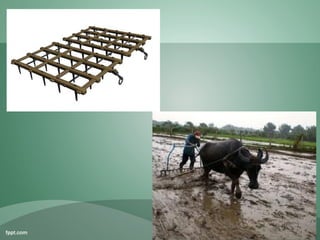 Puddlers | PPT