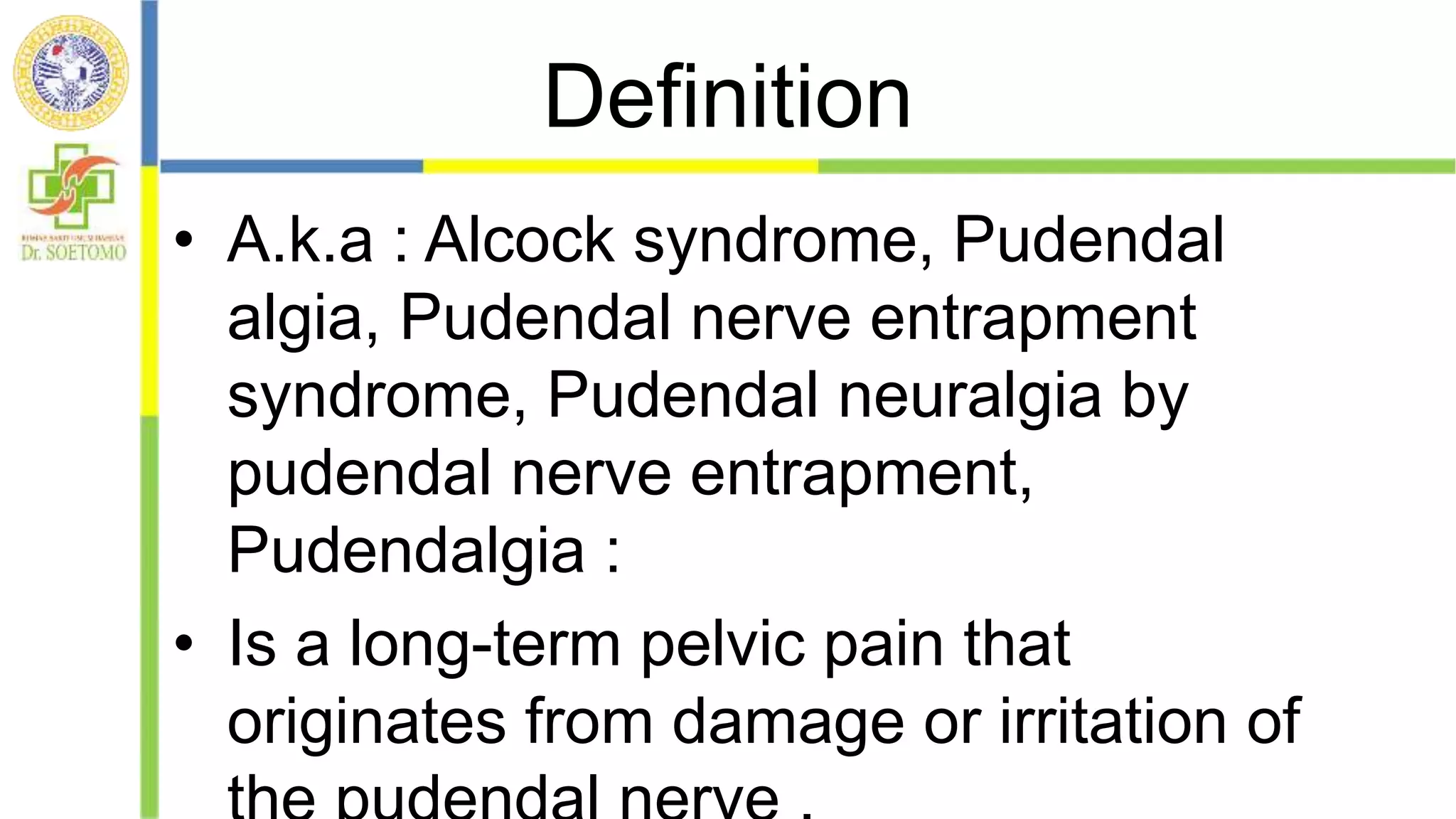 PUDENDALGIA.pptx