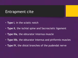 Pudendal nerve palsy - causes, symptoms & management | PPTX