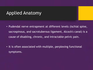 Pudendal nerve palsy - causes, symptoms & management | PPTX