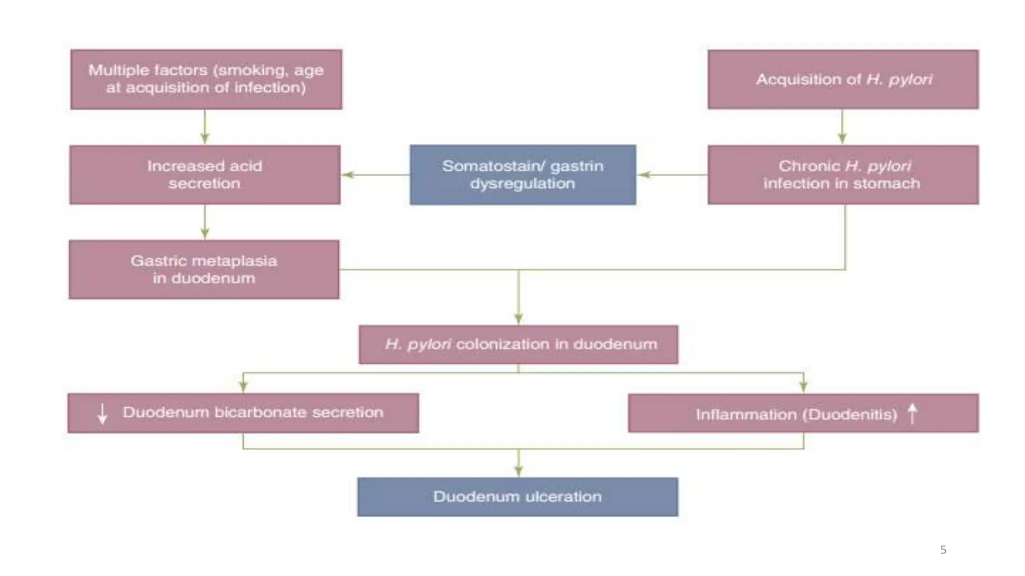 PUD MANAGEMENT mekuria.pptxfghjkkkkkkkkkkkkkkkkk | PPTX