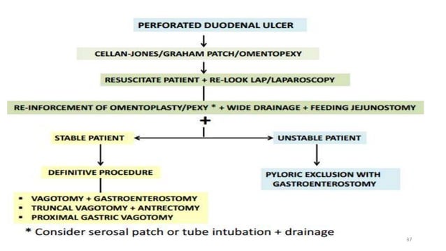 PUD MANAGEMENT mekuria.pptxfghjkkkkkkkkkkkkkkkkk | PPTX | Digestive ...