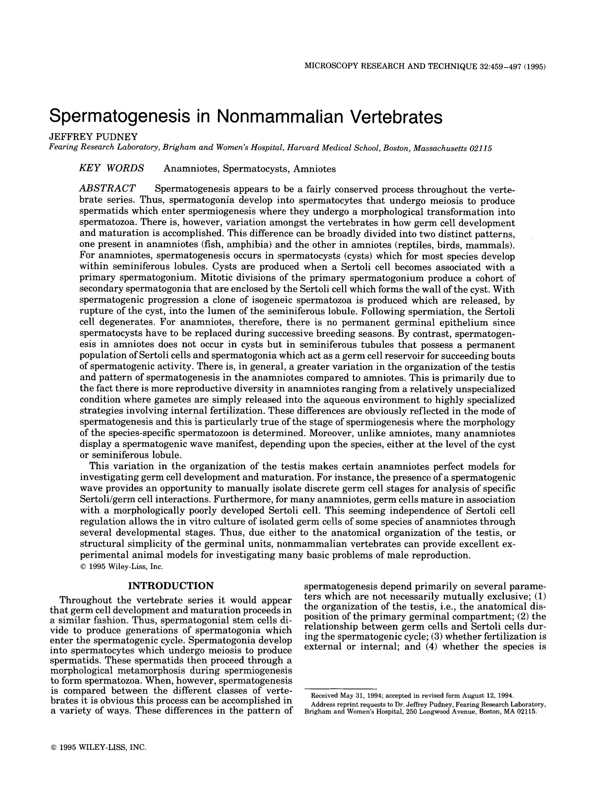 Spermatogenesis in Nonmammalian Vertebrates | PDF | Infertility ...