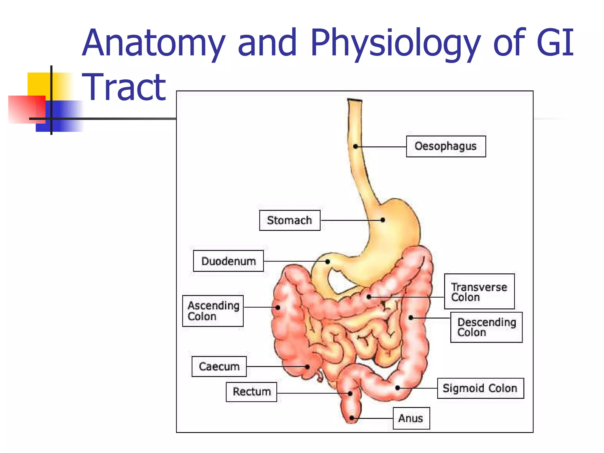 Peptic ulcer disease | PPT