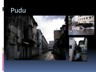 Pudu | PPTX