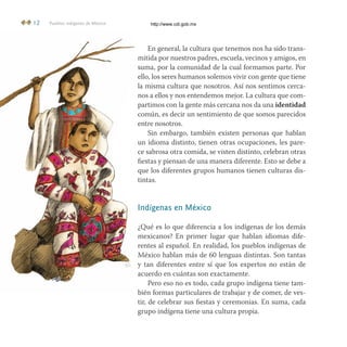 Pueblos Indigenas Mexico | PDF