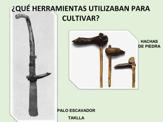 Pueblos originarios presentación 1 | PPT