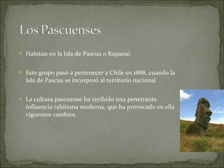 Pueblos originarios de chile | PPT