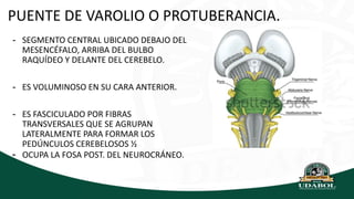 PUENTE.pdf