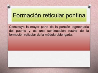 Puente de Varolio | PPTX