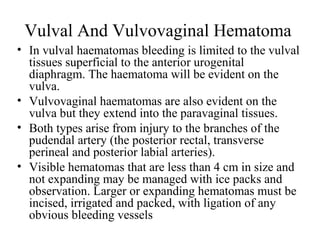 Labial Hematoma
