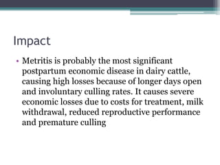 Puerperal metritis in cattle presentation.pptx