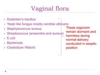 Puerperal sepsis By Sunil Kumar Daha | PPTX
