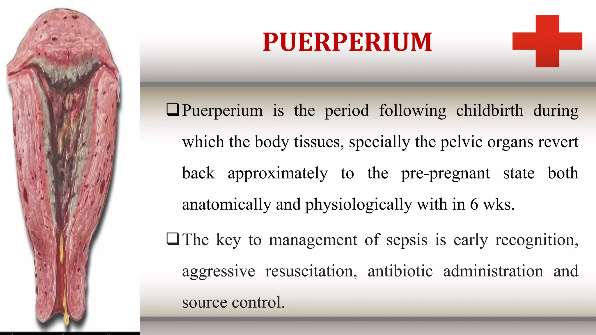 PUERPERAL SEPSIS & UTI.ppt
