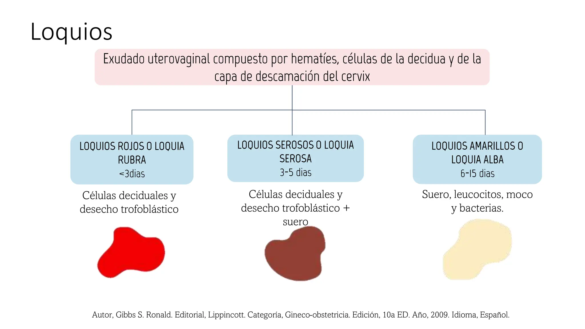PUERPERIO FISIOLOGICO Y PATOLOGICO OBSTETRICIA.pptx