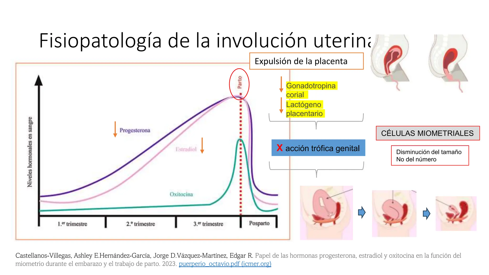 PUERPERIO FISIOLOGICO Y PATOLOGICO OBSTETRICIA.pptx