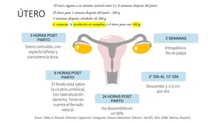 PUERPERIO FISIOLOGICO Y PATOLOGICO OBSTETRICIA.pptx