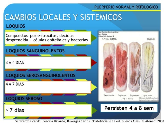 Puerperio Normal Y Patologico