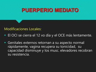 Puerperio fisiologico - Ginecologia obstetricia | PPTX
