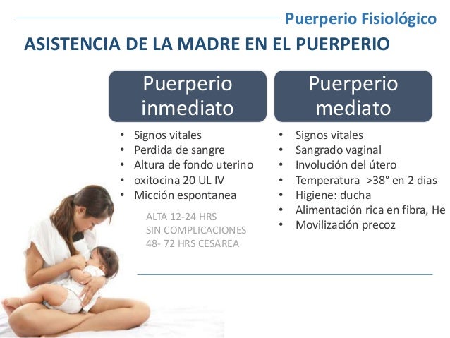 Puerperio fisiológico (Introducion)