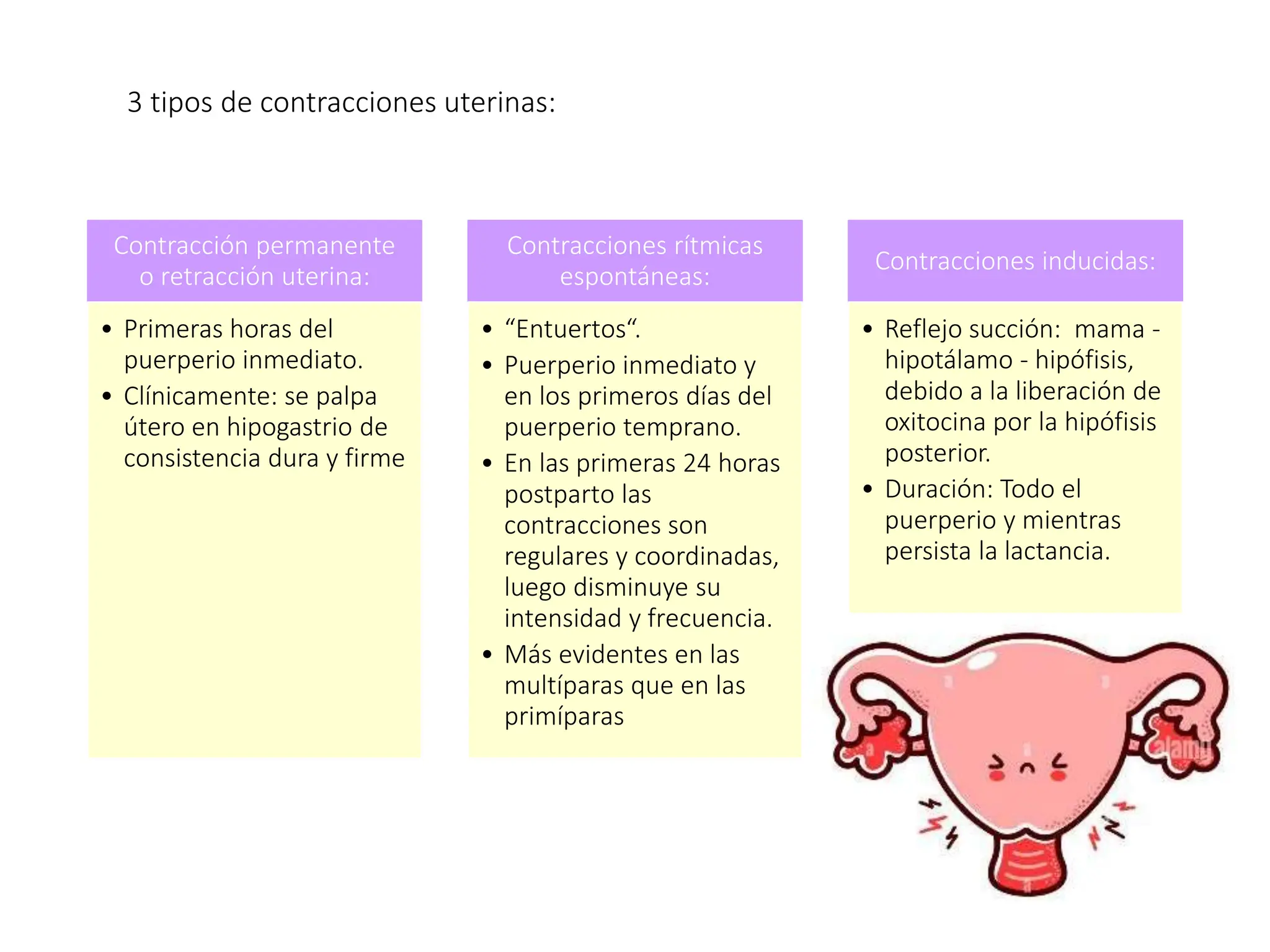 PUERPERIO FISIOLOGICO OBSTETRICIA UPAO.pptx