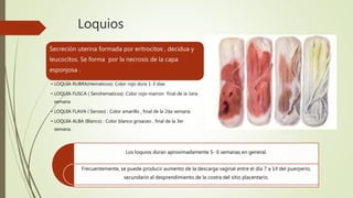 Puerperio Normal.pptx