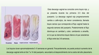 PUERPERIO NORMAL.pptx.......,........... | PPTX