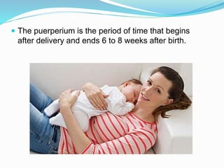 Puerperium | PPTX