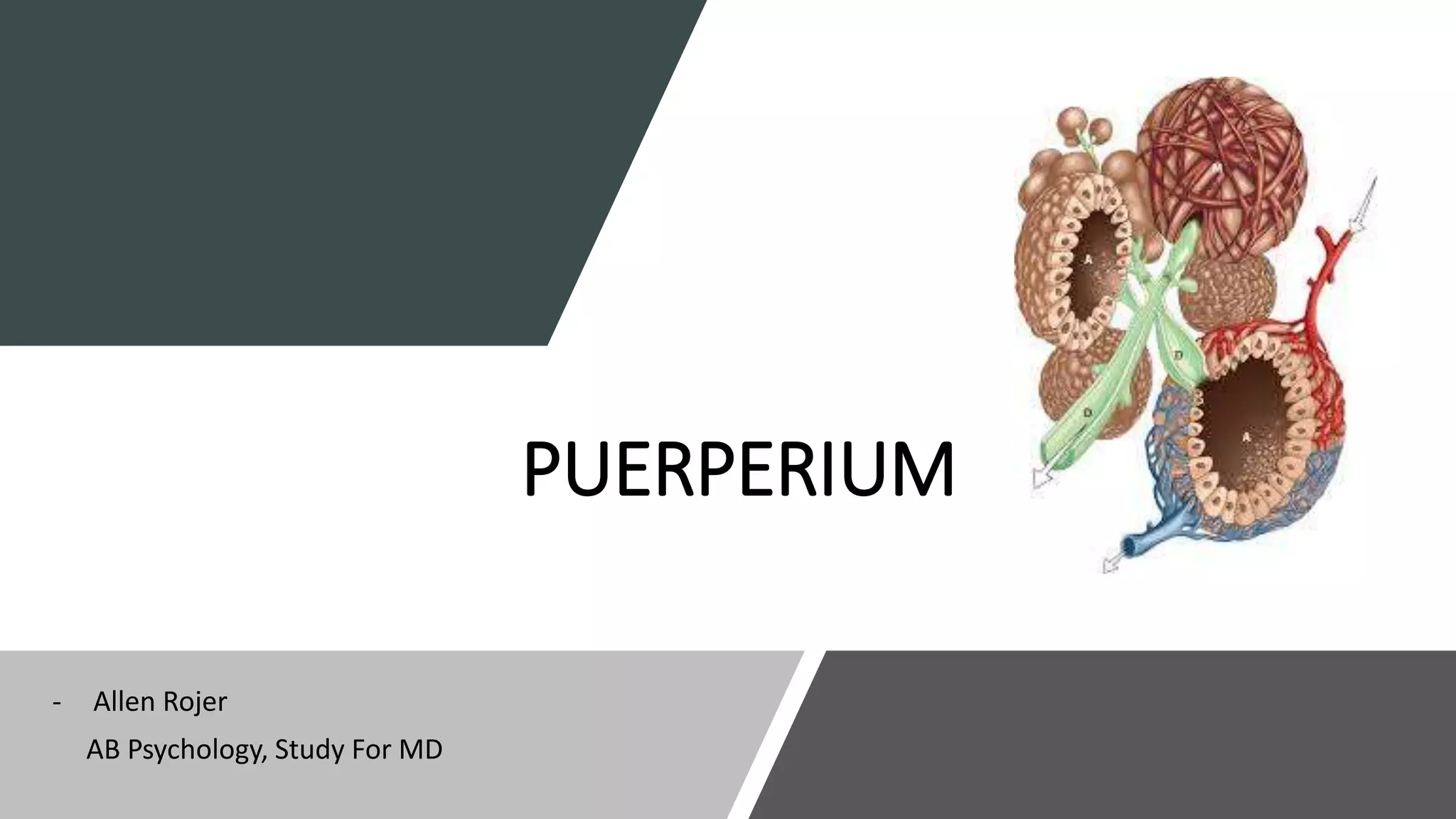 Puerperium | PPTX