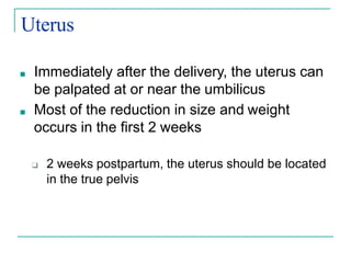 normal and abnormal puerperium/postnatal period .pptx | Pregnancy ...