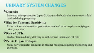 Physiological changes during puerperium/Physiological changes ...