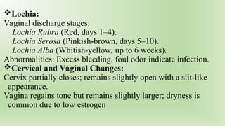 Physiological changes during puerperium/Physiological changes ...