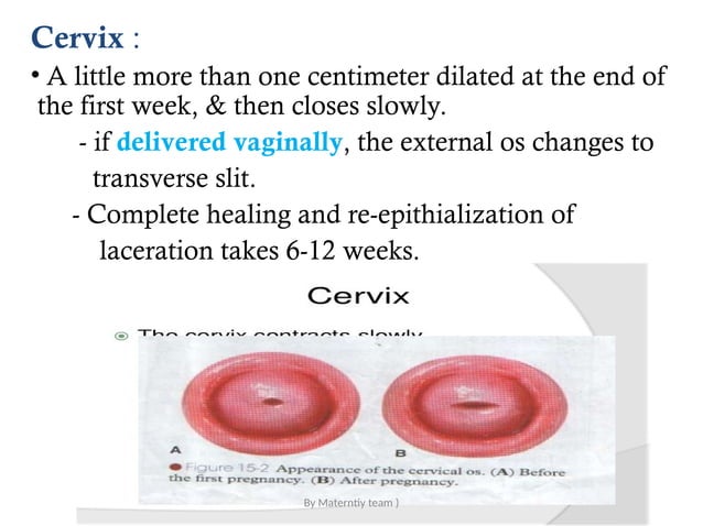 Puerperium power point presentation to health care givers | PPT
