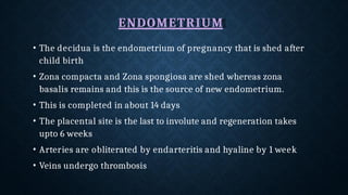 puerperium_and_breast_feeding after pregnancy ( postpartum) | PPT